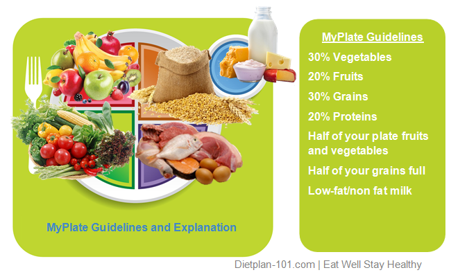 The Shortcomings of USDA MyPlate - Diet Plan 101